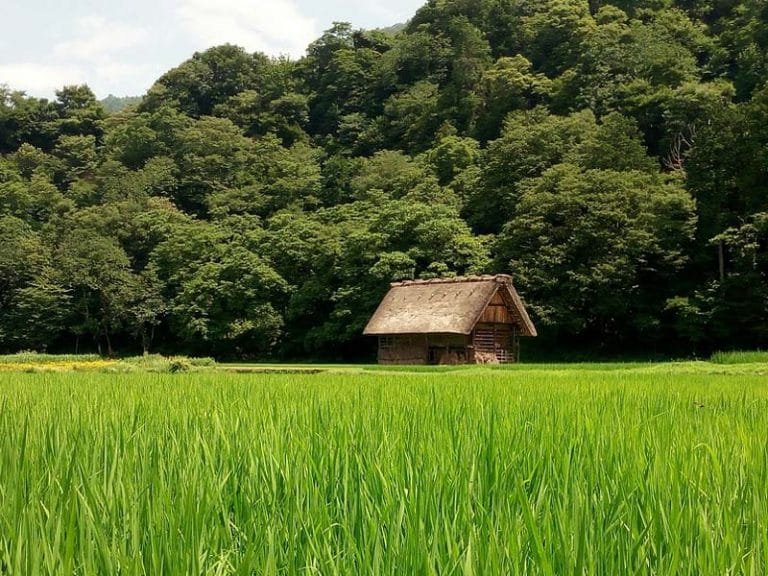 Day Trip: Shirakawago and Gokayama – Takayama Tours – Private Guided ...
